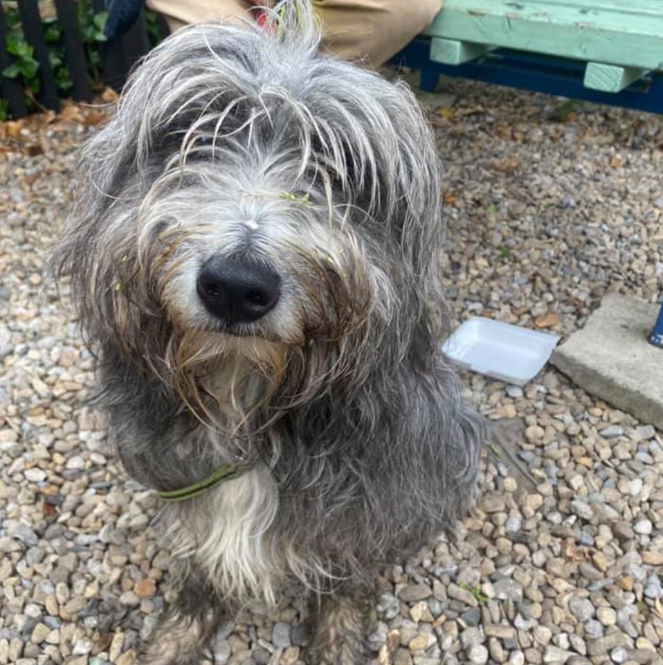 Causey Arch Tea Room - Causey Arch Cottages